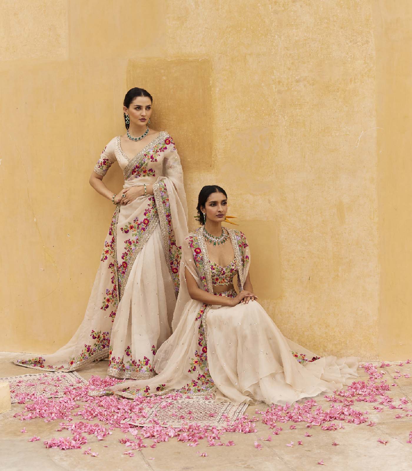 ZARDOZI BORDER SAREE SET – anushreereddydesign