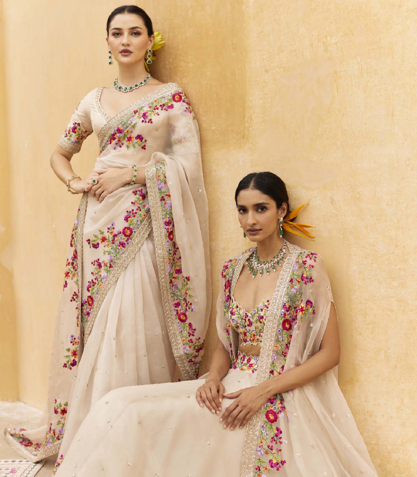 ZARDOZI BORDER SAREE SET – anushreereddydesign